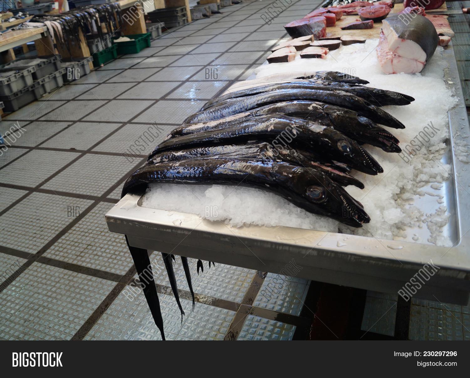 Scabbardfish - Espada Image & Photo (Free Trial) | Bigstock