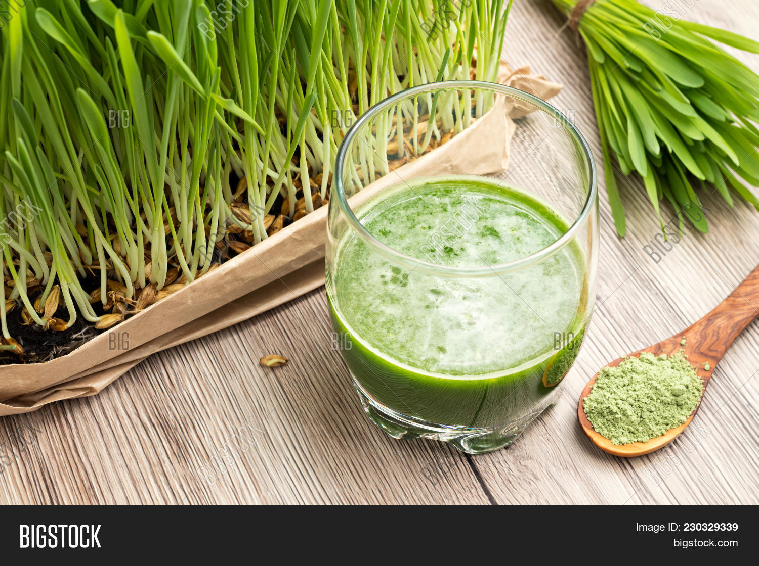 Glass Barley Grass Image & Photo (Free Trial) | Bigstock