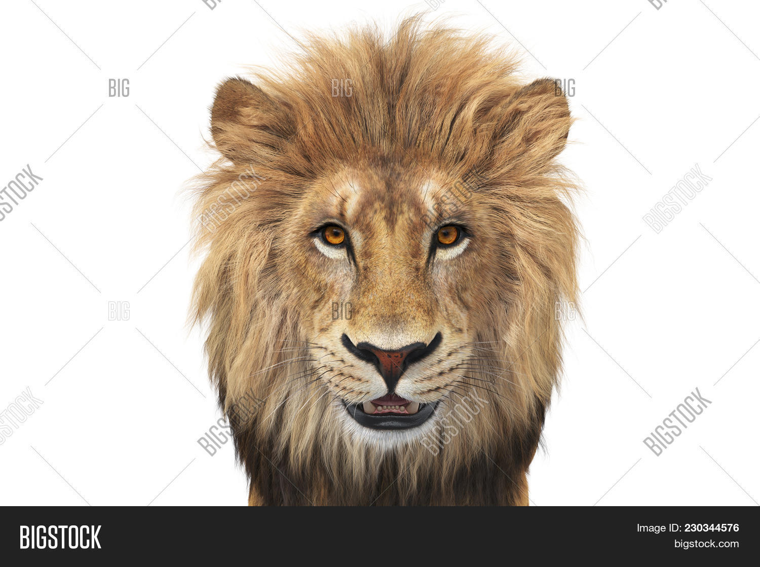 Lion Head Wild Beige Image & Photo (Free Trial) | Bigstock