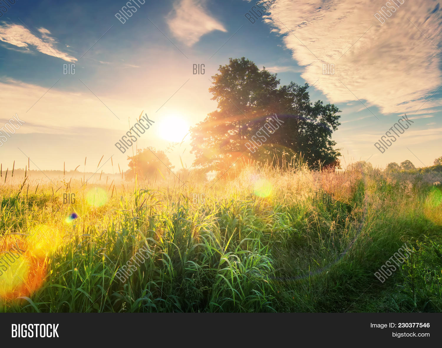 Vivid Summer Sunrise Image & Photo (Free Trial) | Bigstock