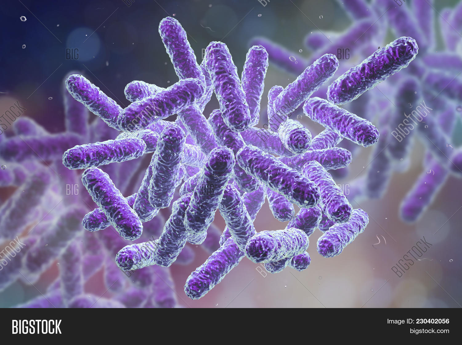 Enterobacteriaceae, Image & Photo (Free Trial) | Bigstock