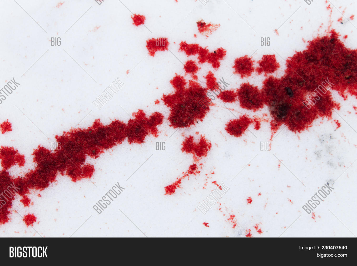Splashed Blood On Snow Image & Photo (Free Trial) | Bigstock