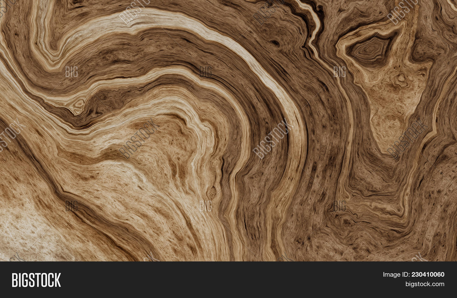 Texture Roots Tree Image & Photo (Free Trial) | Bigstock