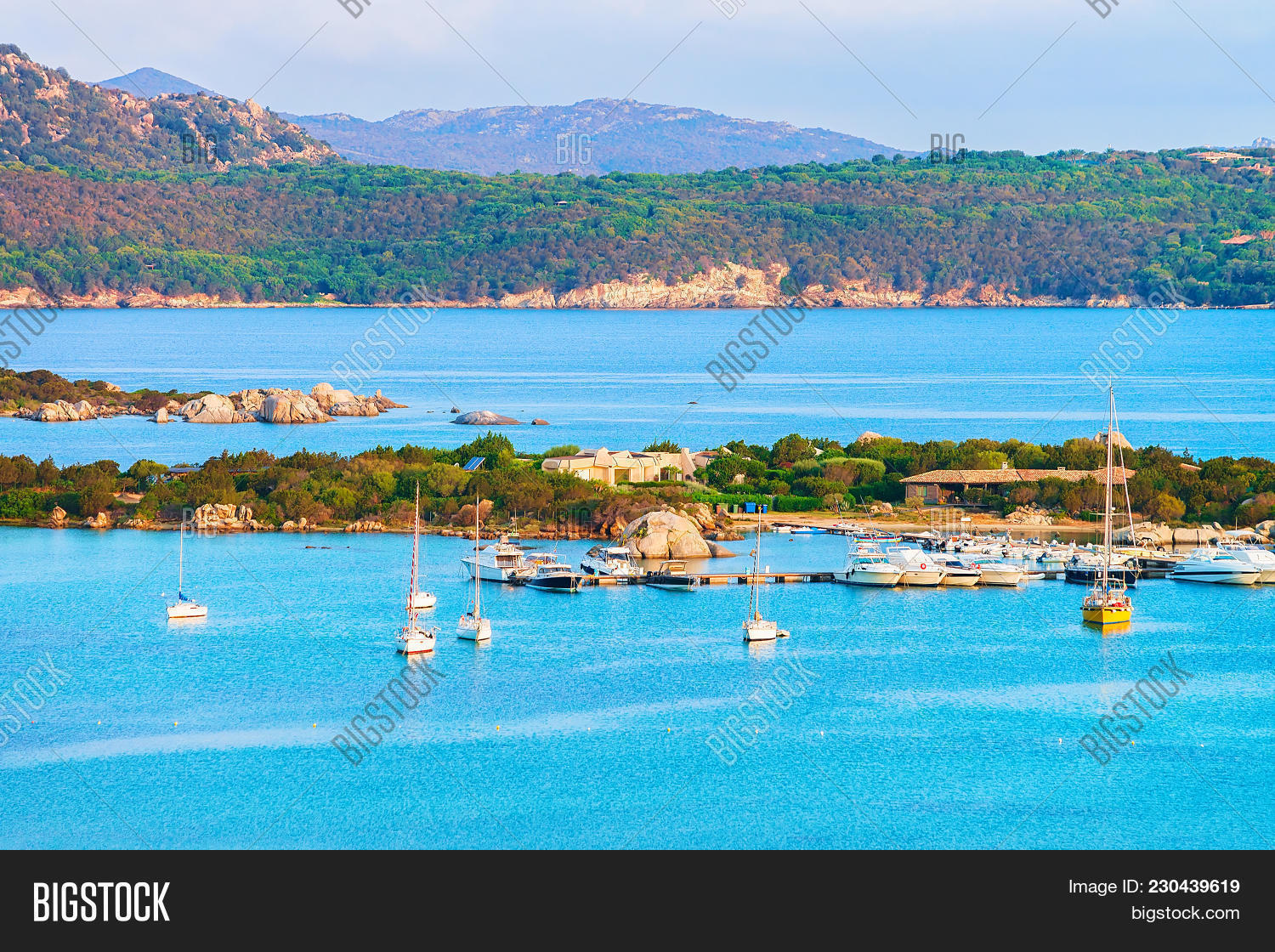 Harbor Boats Porto Image & Photo (Free Trial) | Bigstock
