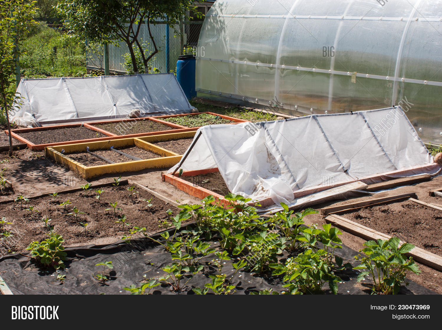 Garden Divided Into Image & Photo (Free Trial) | Bigstock