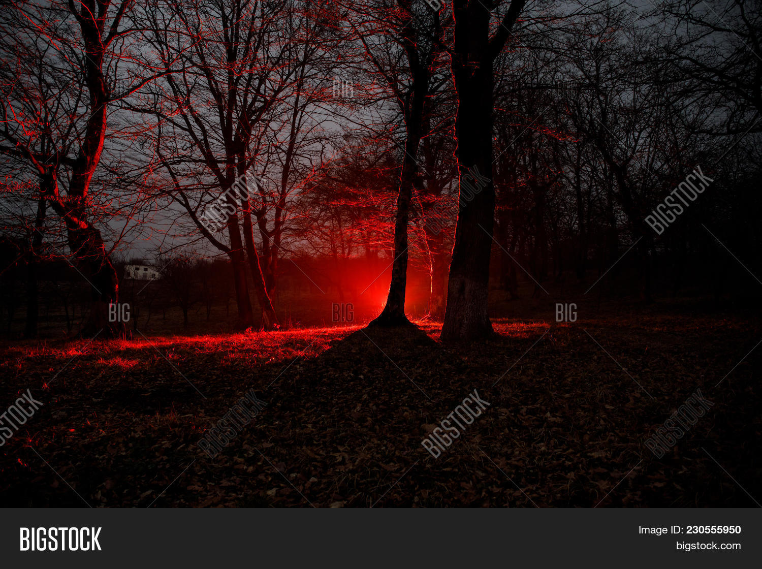 Strange Light Dark Image & Photo (Free Trial) | Bigstock