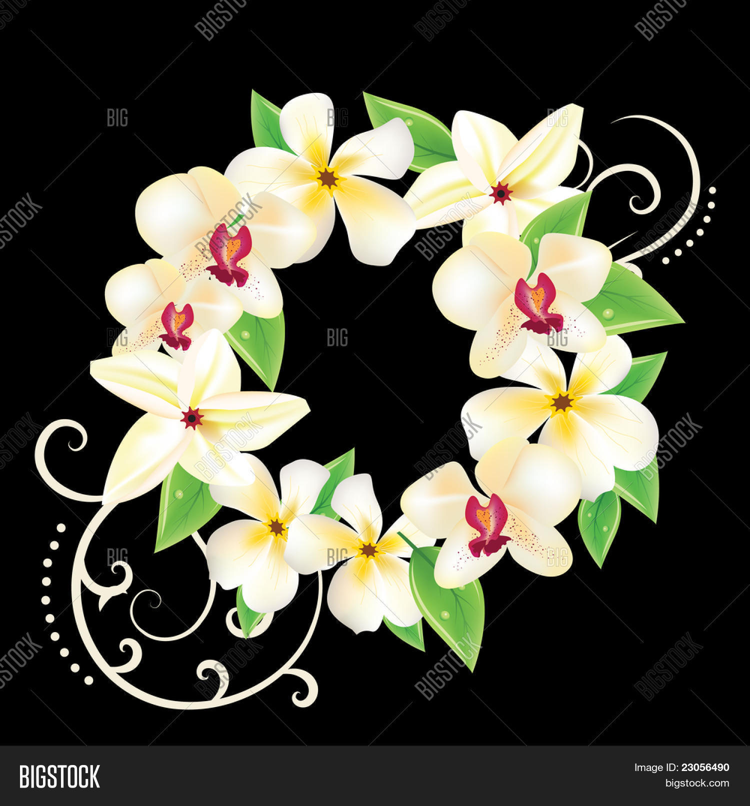 Hawaii Vector Floral Vector & Photo (Free Trial) | Bigstock
