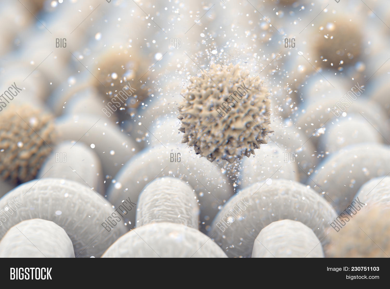 Micro Fabric Weave Image & Photo (Free Trial) | Bigstock