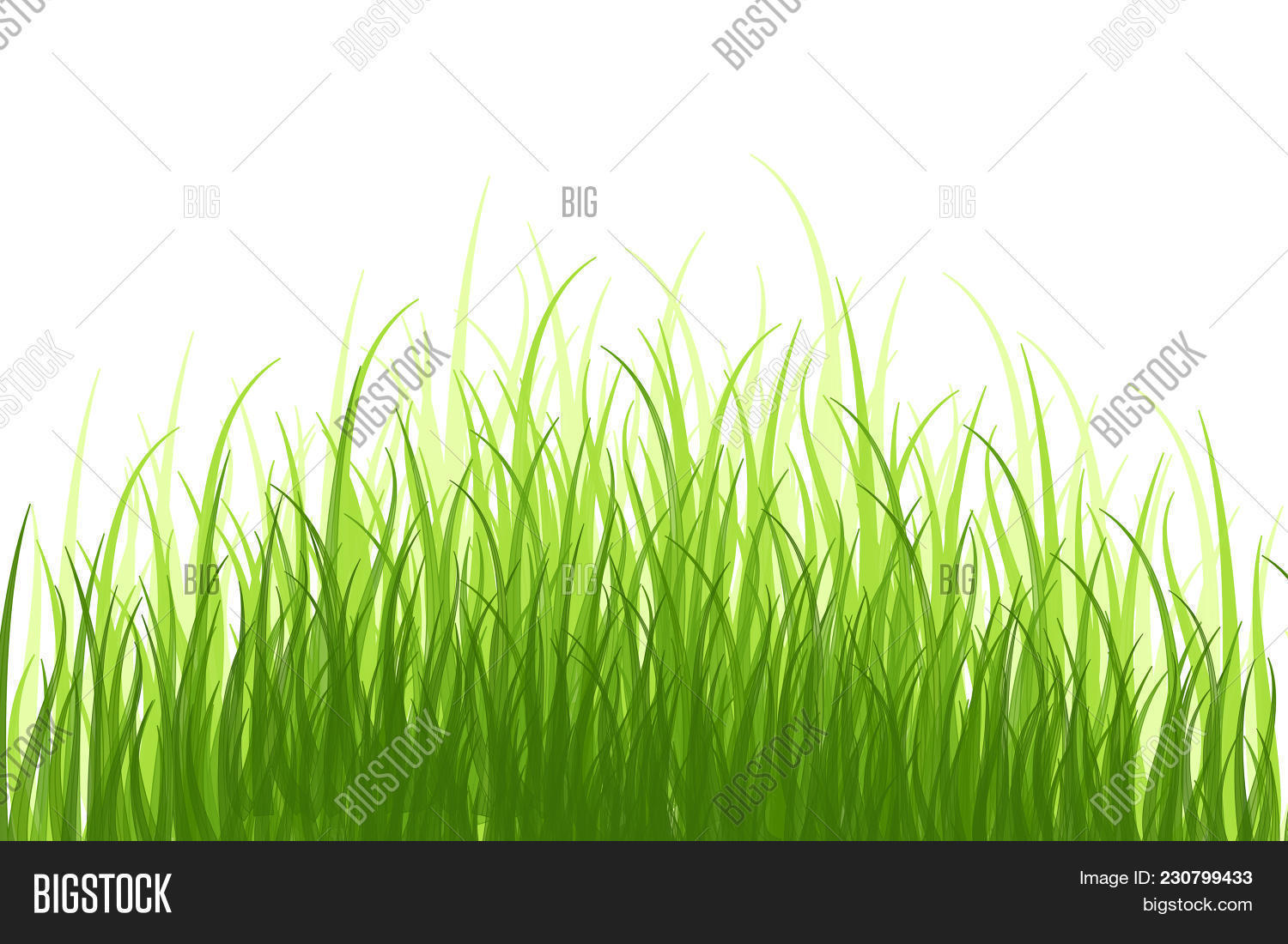 Early Spring Green Image & Photo (Free Trial) | Bigstock