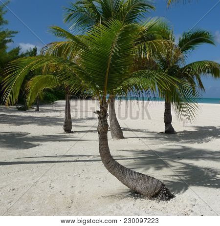 Isla Pasion - Image & Photo (Free Trial) | Bigstock