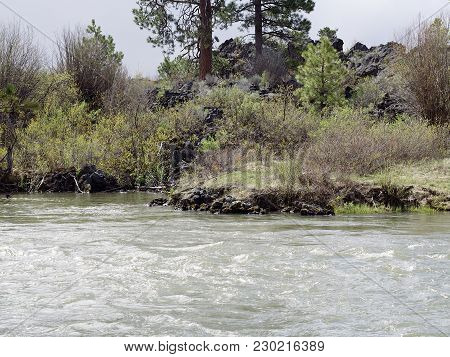 Beautiful Spring Image & Photo (Free Trial) | Bigstock