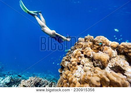 Woman Diving Into Water Images, Illustrations, Vectors - Woman Diving ...