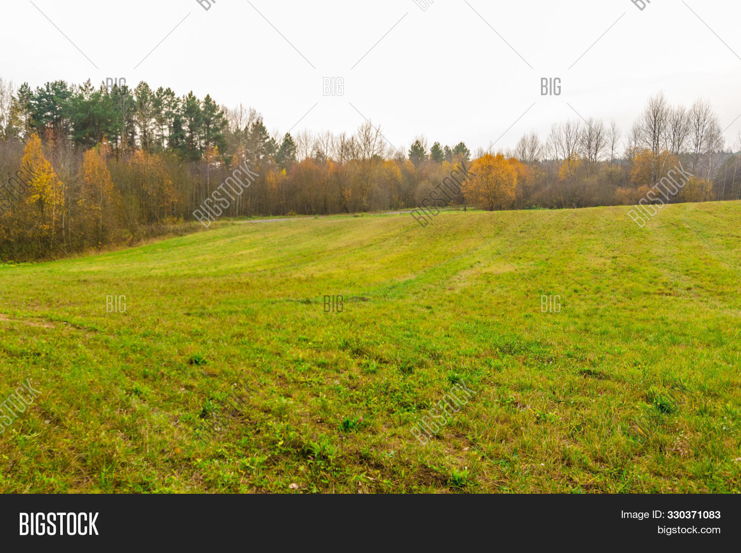 Beautiful Field Autumn Image & Photo (Free Trial) | Bigstock