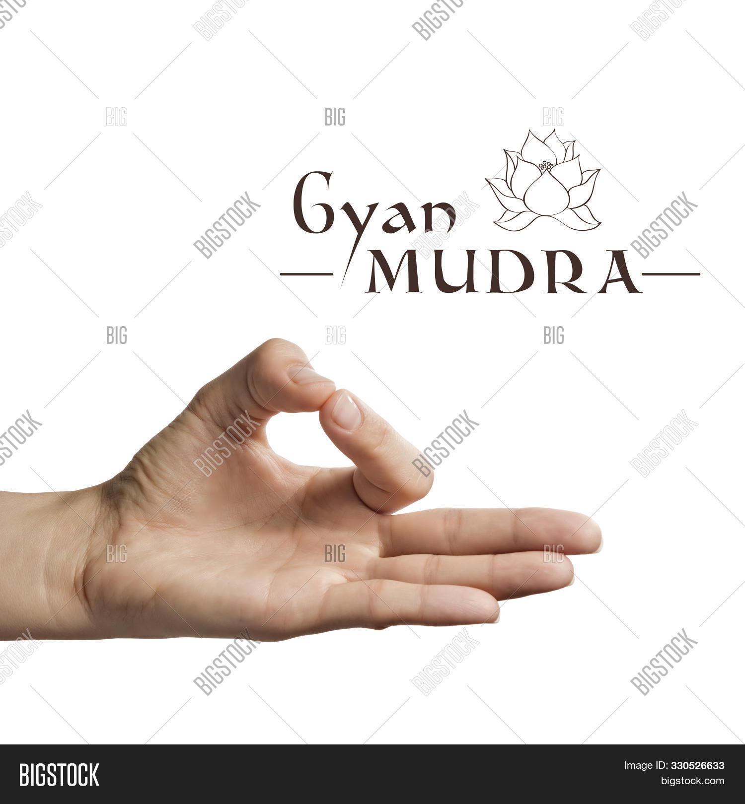 Gyan Mudra. Yogic Hand Image & Photo (Free Trial) | Bigstock