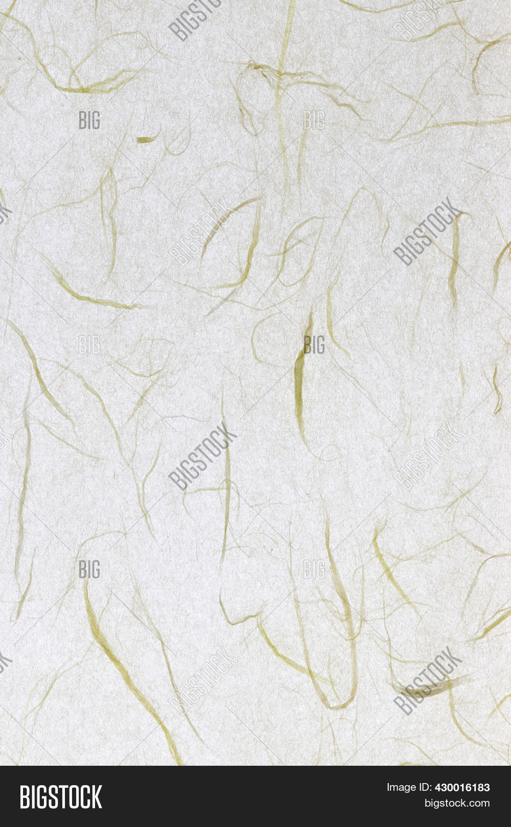 Plant Fibre Hairs Image & Photo (Free Trial) | Bigstock