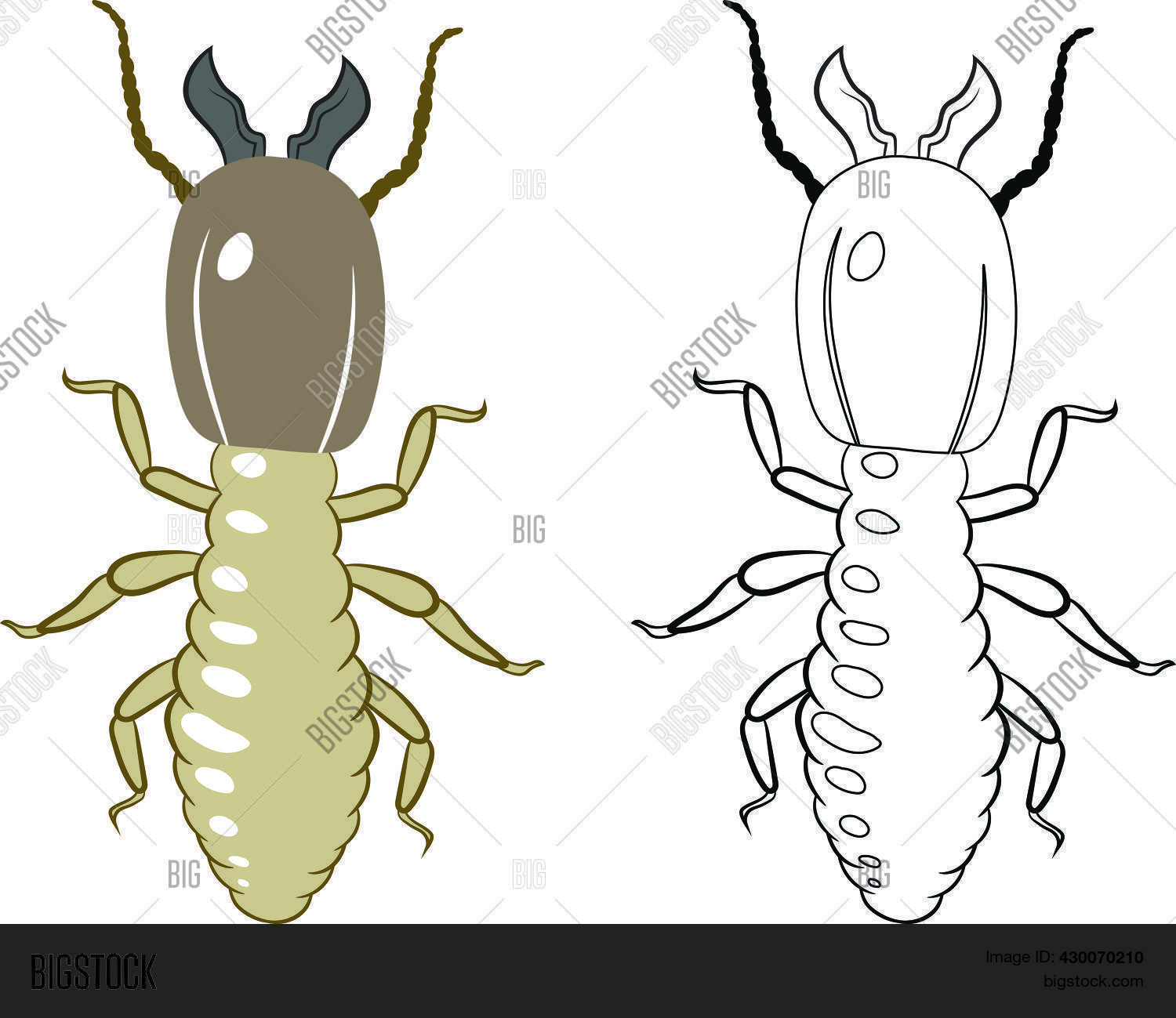 How To Draw A Termite