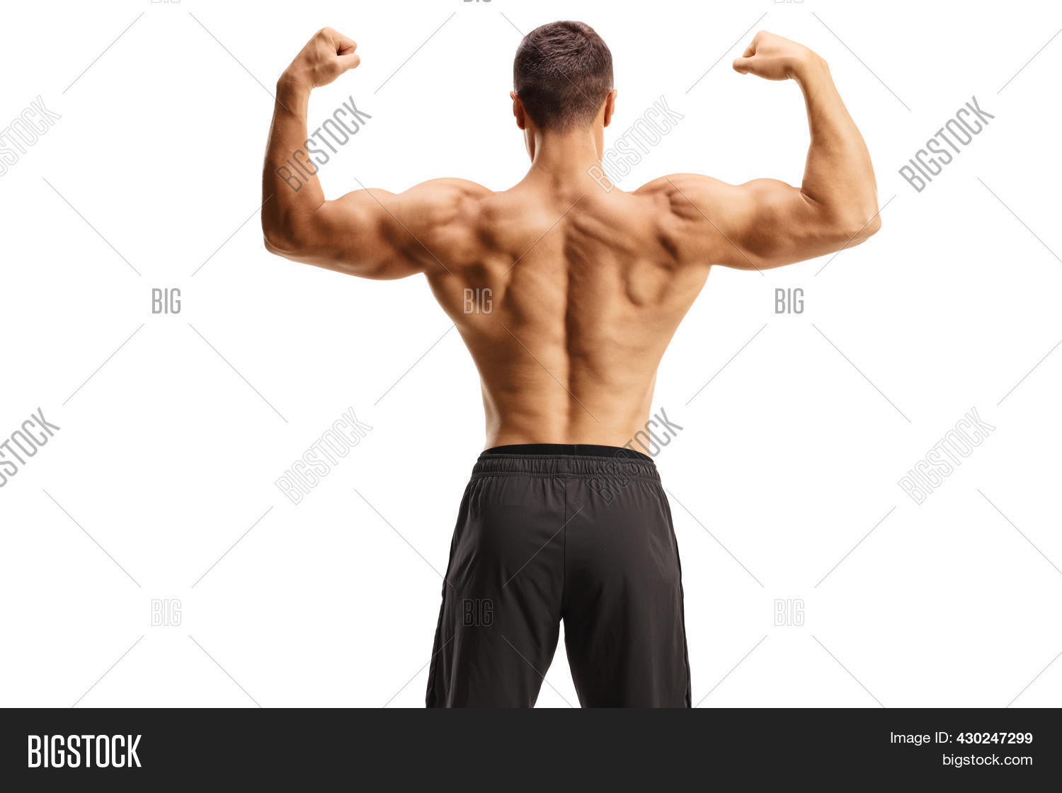 Rear View Bodybuilder Image & Photo (Free Trial) | Bigstock