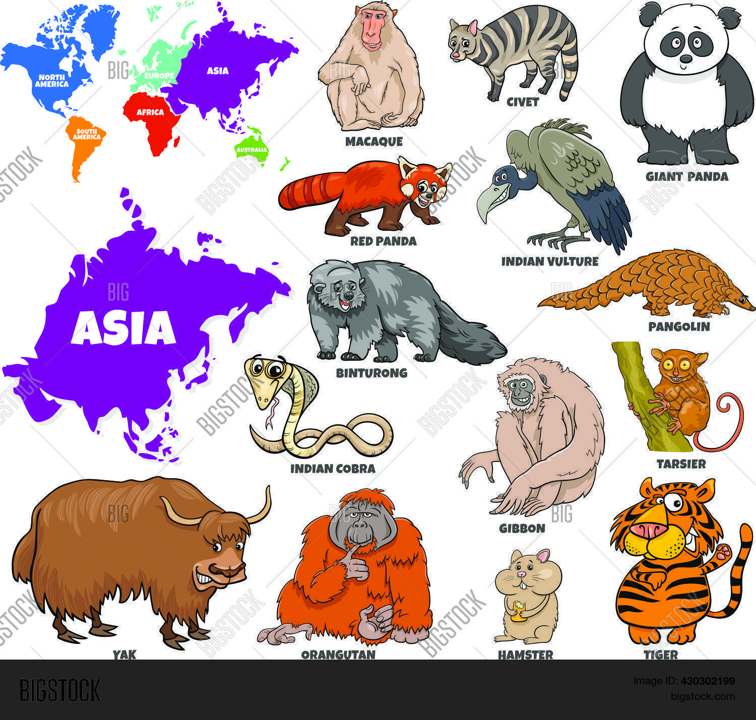 Educational Cartoon Vector & Photo (Free Trial) | Bigstock