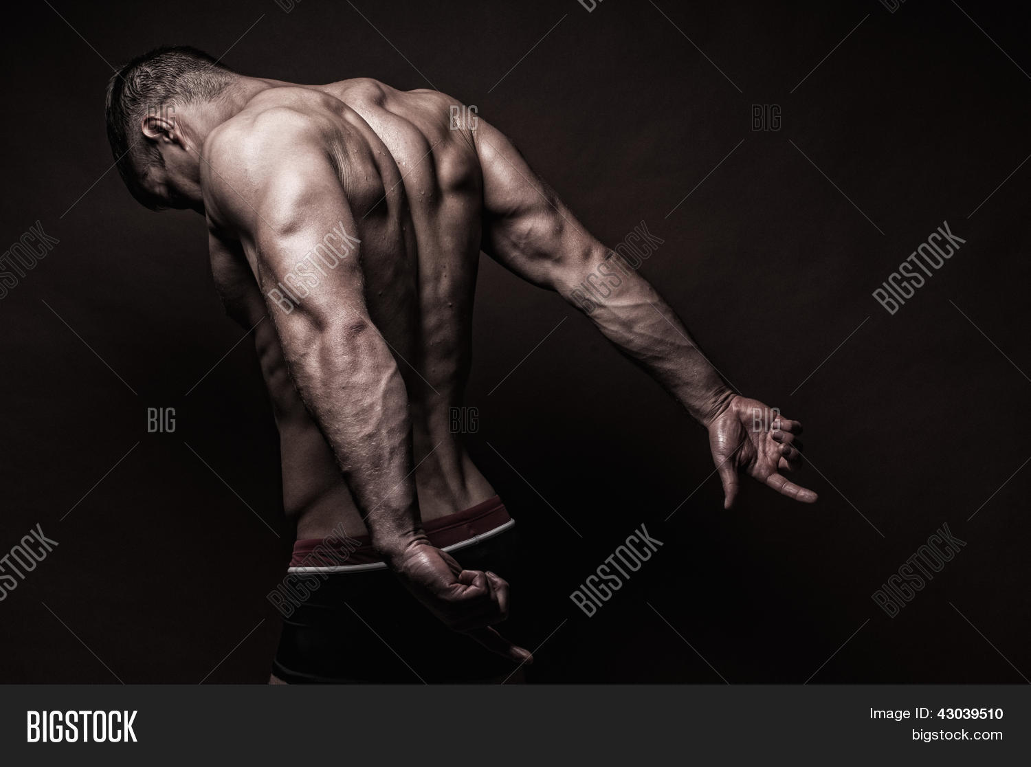 Male Arms Image & Photo (Free Trial) | Bigstock