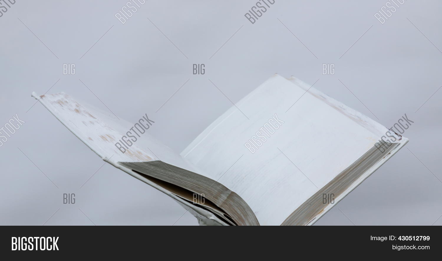 Blank White Open Book Image & Photo (Free Trial) | Bigstock