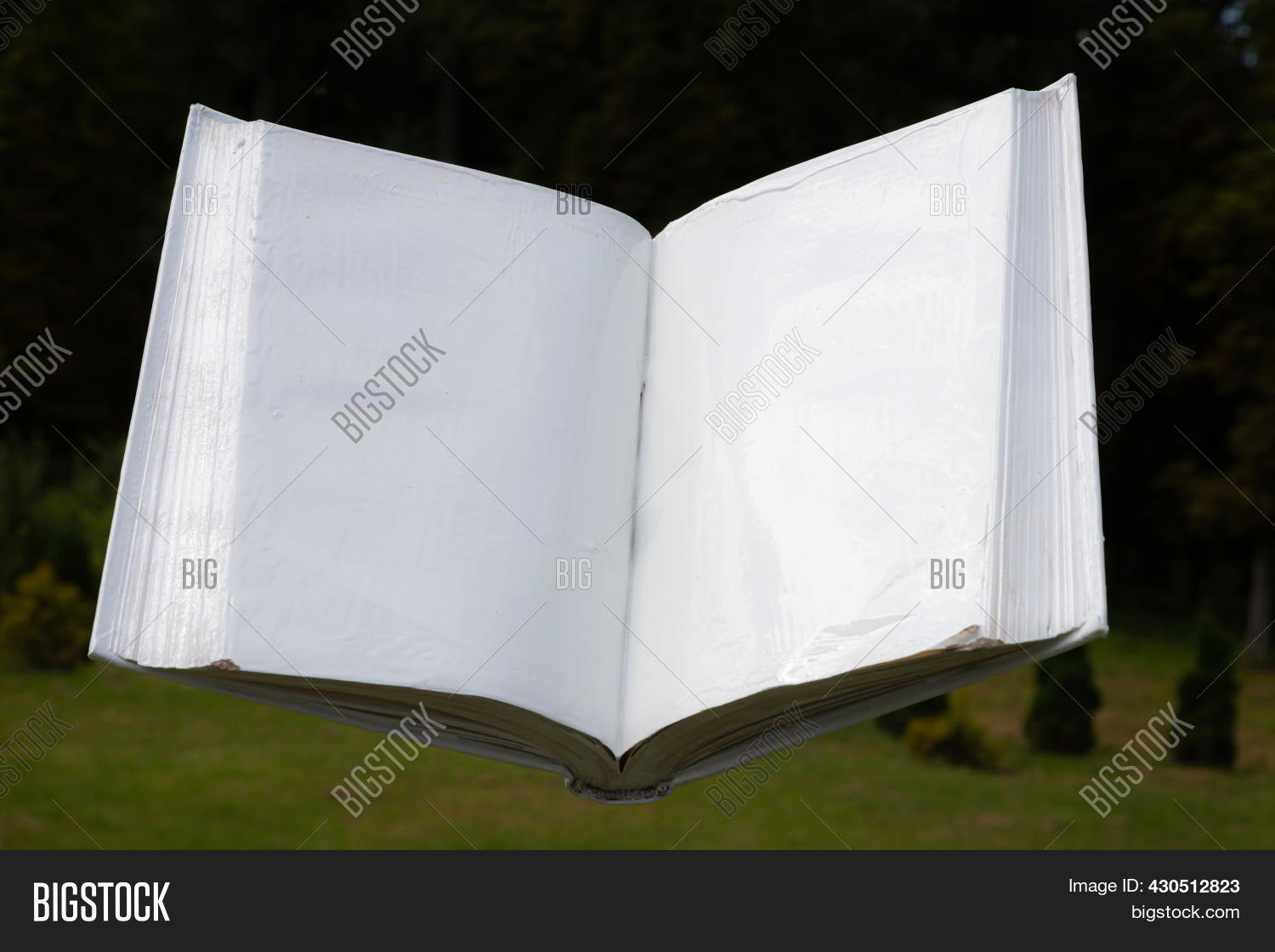 Blank White Open Book Image & Photo (Free Trial) | Bigstock