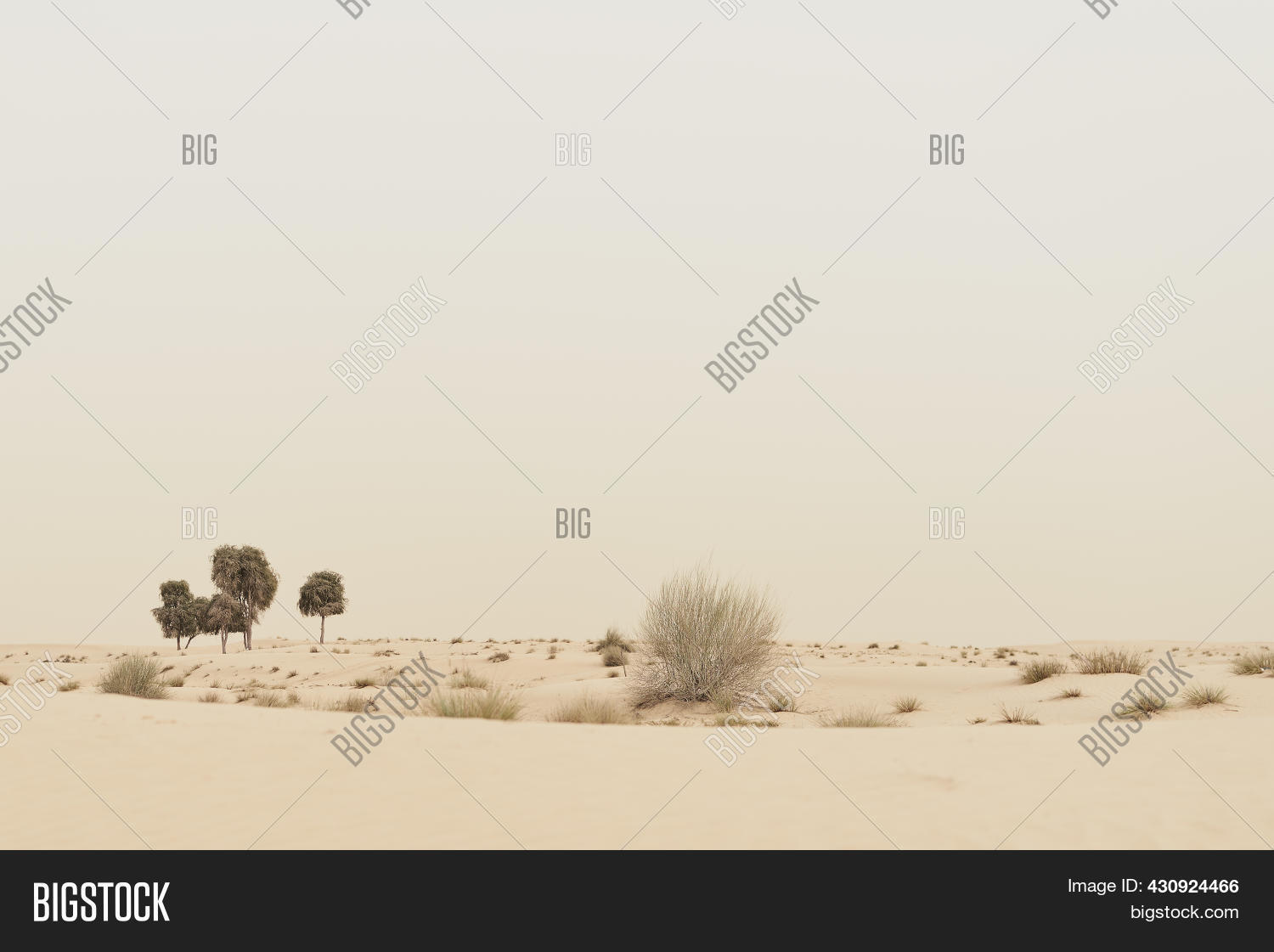 Wild Desert Landscape Image & Photo (Free Trial) | Bigstock
