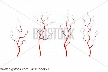 Set Human Veins Vector & Photo (Free Trial) | Bigstock