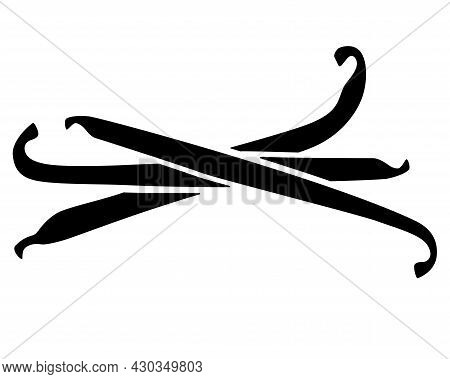 Vanilla Pod - Vector Vector & Photo (Free Trial) | Bigstock