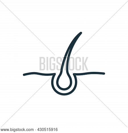 Hair Bulb Line Icon. Vector & Photo (Free Trial) | Bigstock