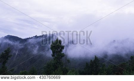 Tropical Cloud Forest Image & Photo (Free Trial) | Bigstock
