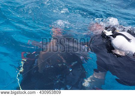 Woman Diving Into Water Images, Illustrations & Vectors (Free) - Bigstock