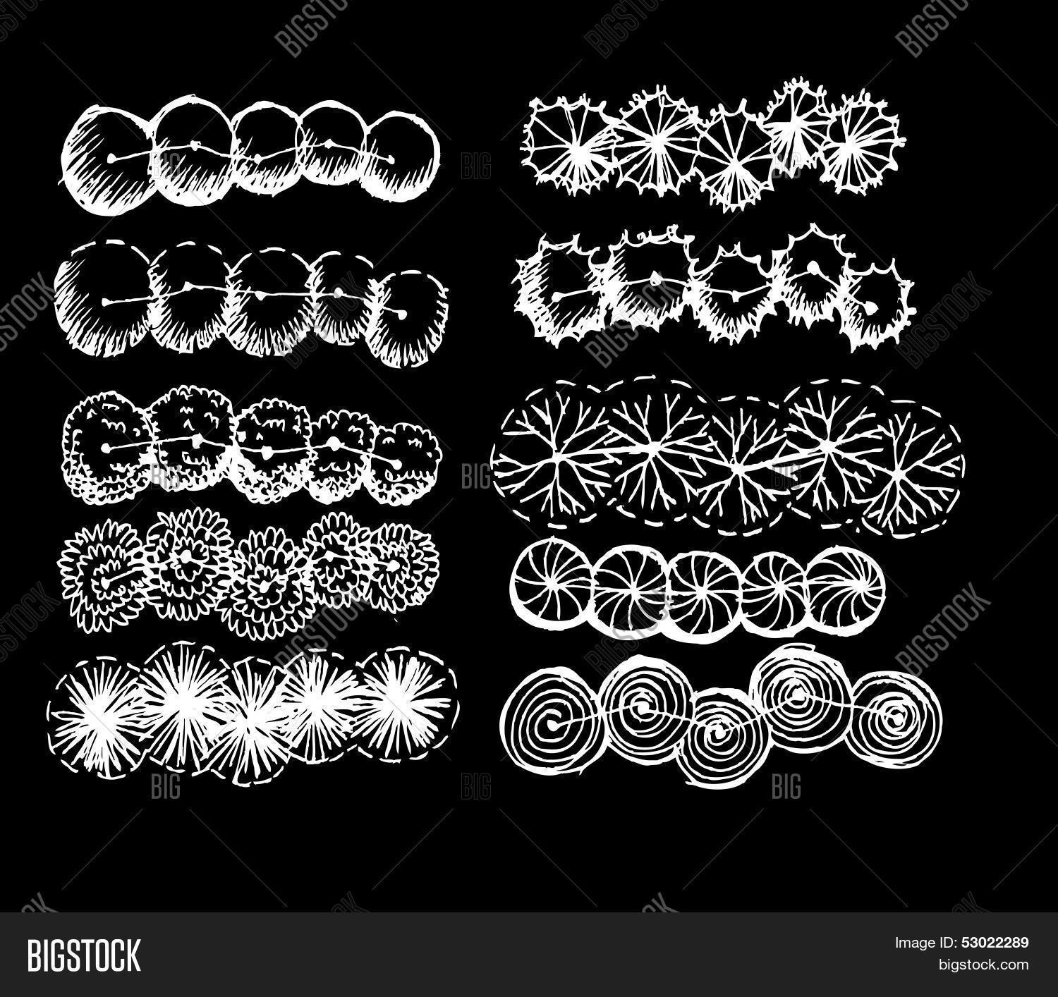 Trees Top View Vector & Photo (Free Trial) | Bigstock