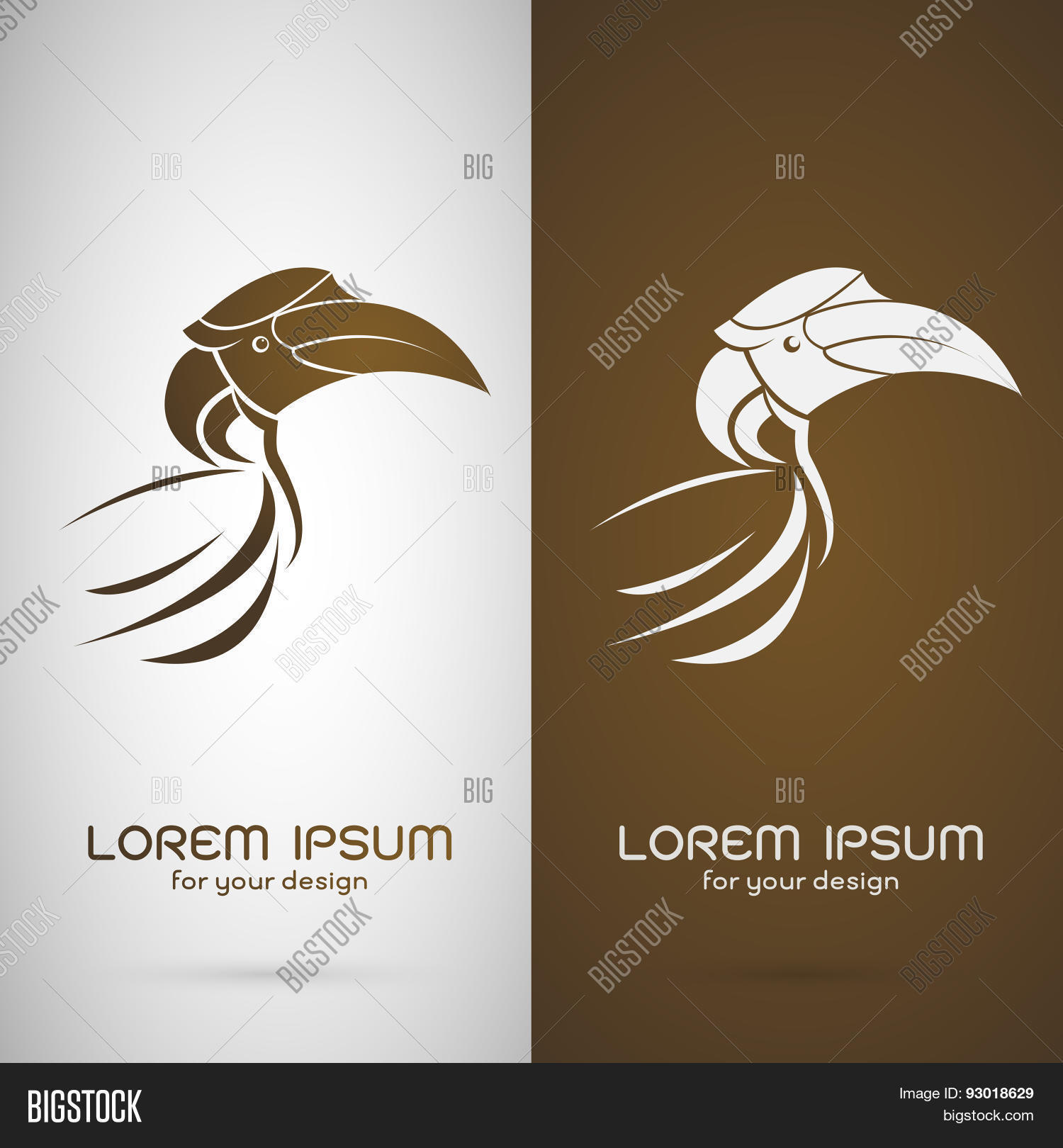 Vector Image Hornbill Vector & Photo (Free Trial) | Bigstock