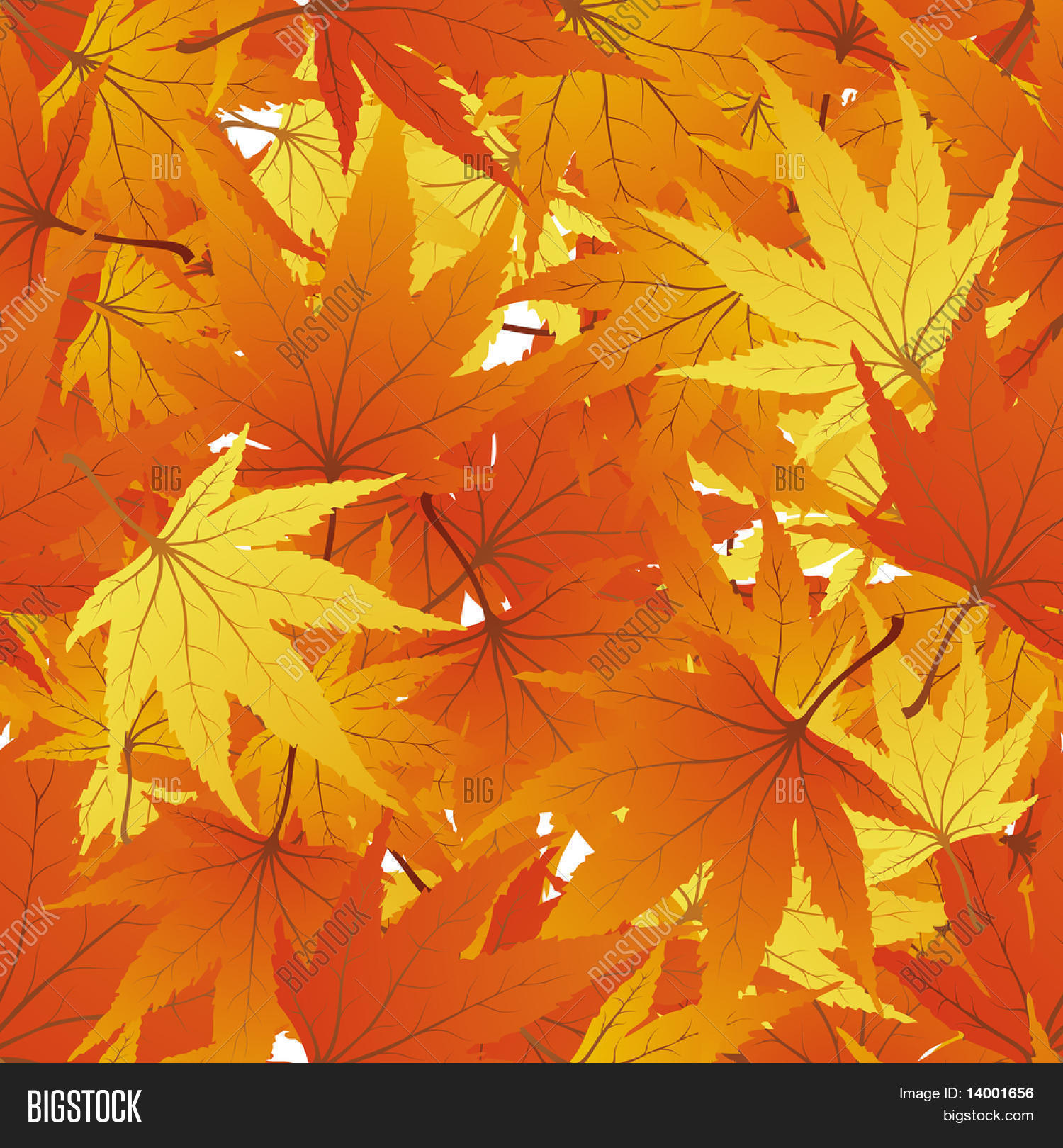 Maple Seamless Vector & Photo (Free Trial) | Bigstock