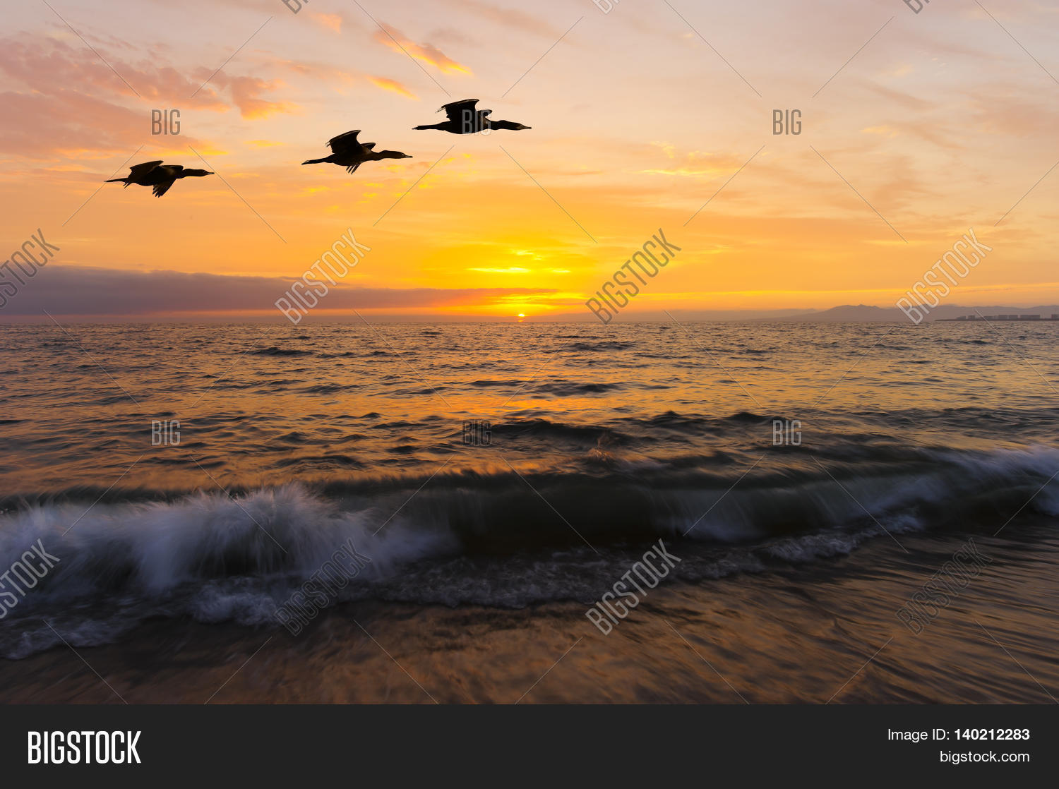 Ocean Sunset Birds Image & Photo (Free Trial) | Bigstock