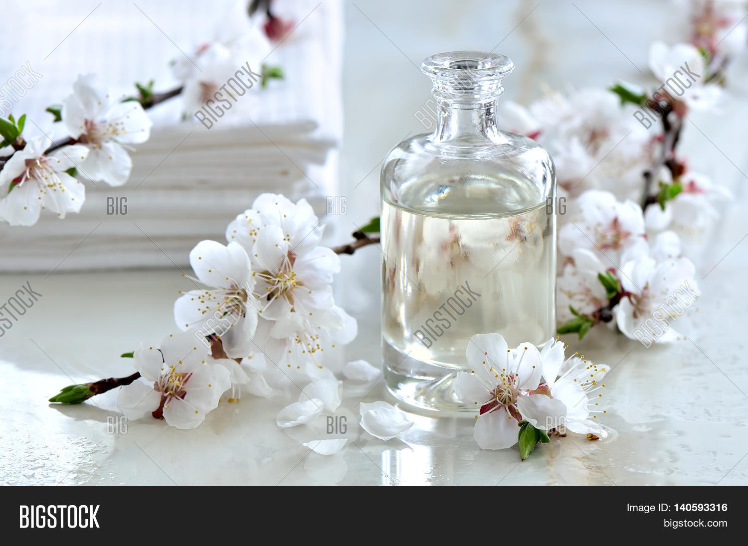 Spa Massage Oil Image & Photo (Free Trial) | Bigstock