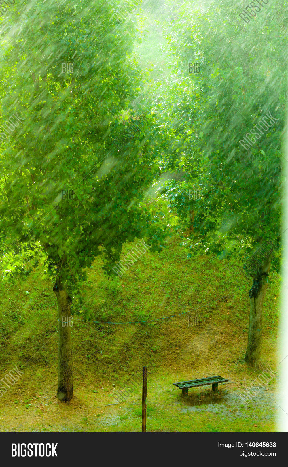 Summer Rainy Outside Image & Photo (Free Trial) | Bigstock