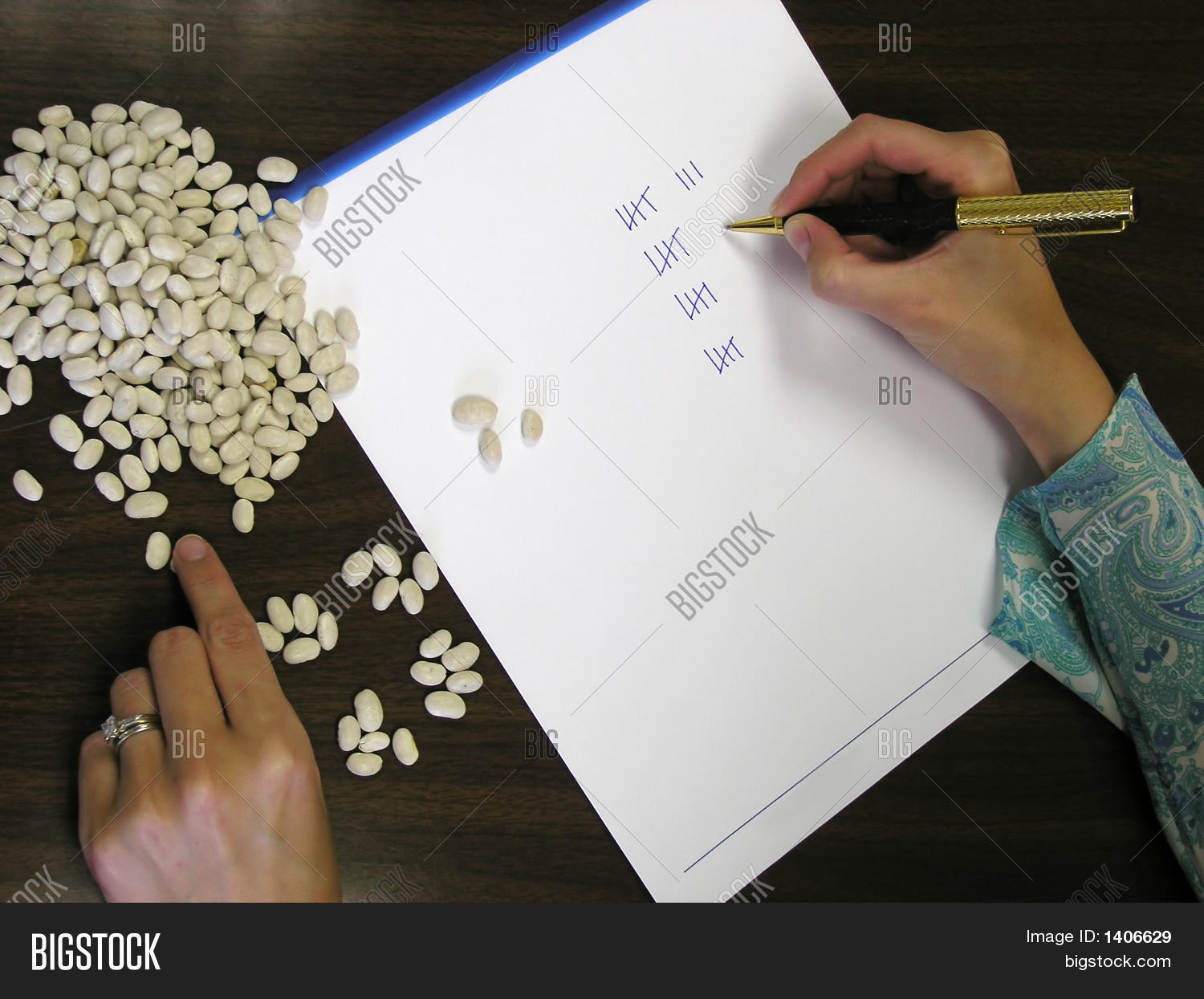 Accountant -Bean Image & Photo (Free Trial) | Bigstock