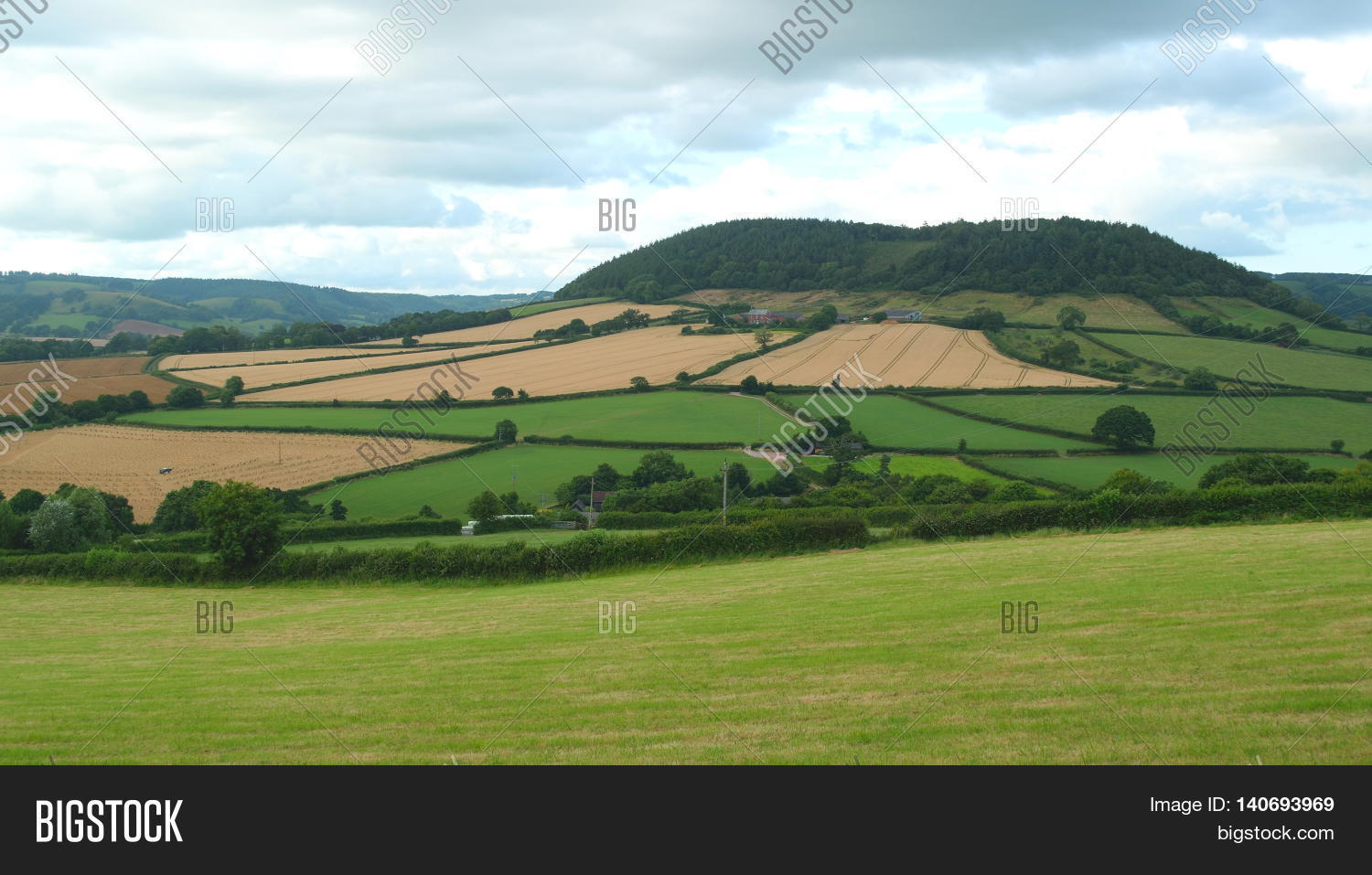 Farmland East Devon Image & Photo (Free Trial) | Bigstock