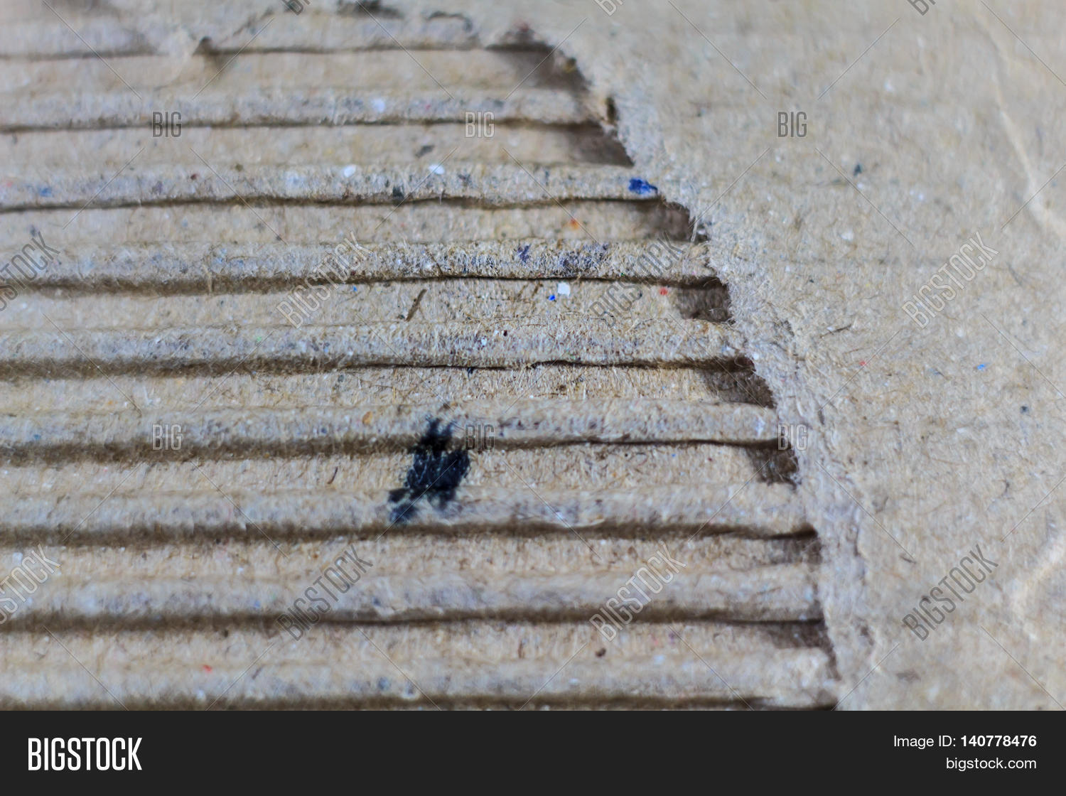Ripped Cardboard Image & Photo (Free Trial) | Bigstock