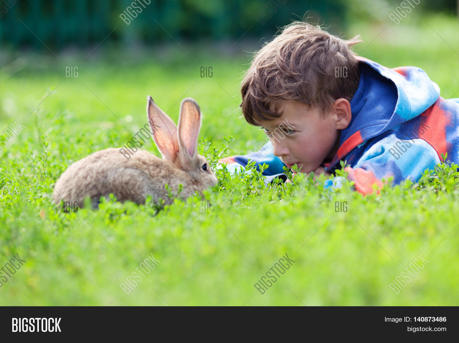 Portrait Boy, He Image & Photo (Free Trial) | Bigstock