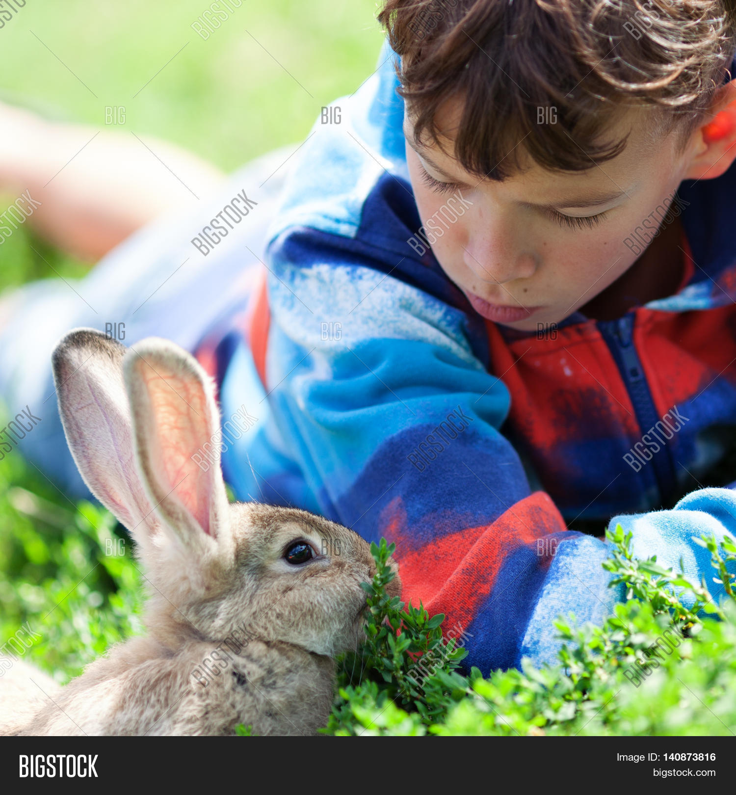 Portrait Boy, He Image & Photo (Free Trial) | Bigstock