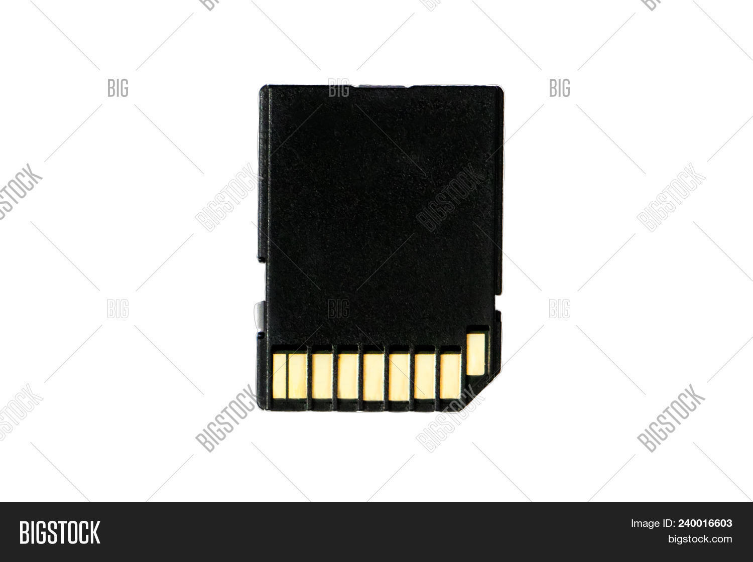 Micro Sd Card , Memory Image & Photo (Free Trial) | Bigstock