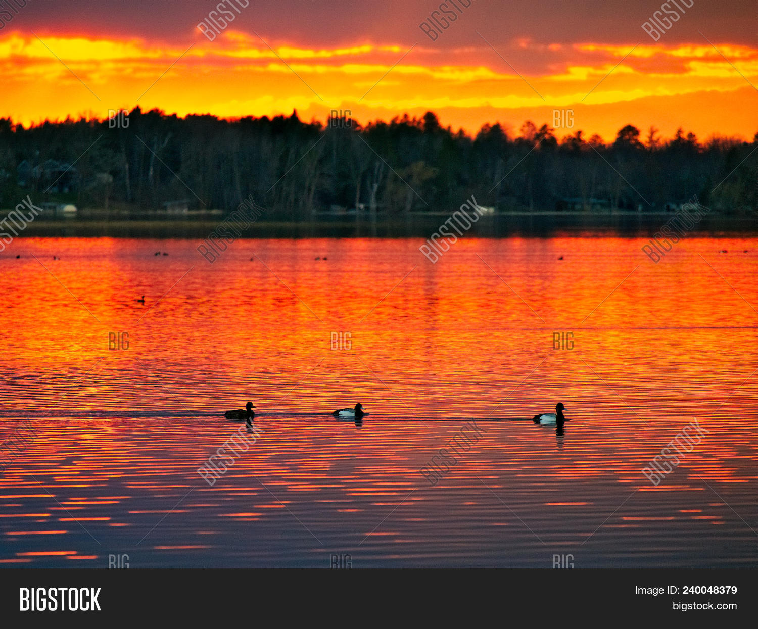 Sunset Over Lake Image & Photo (Free Trial) | Bigstock