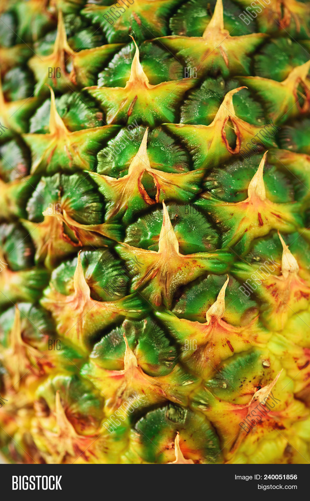 Texture Pineapple Skin Image & Photo (Free Trial) | Bigstock
