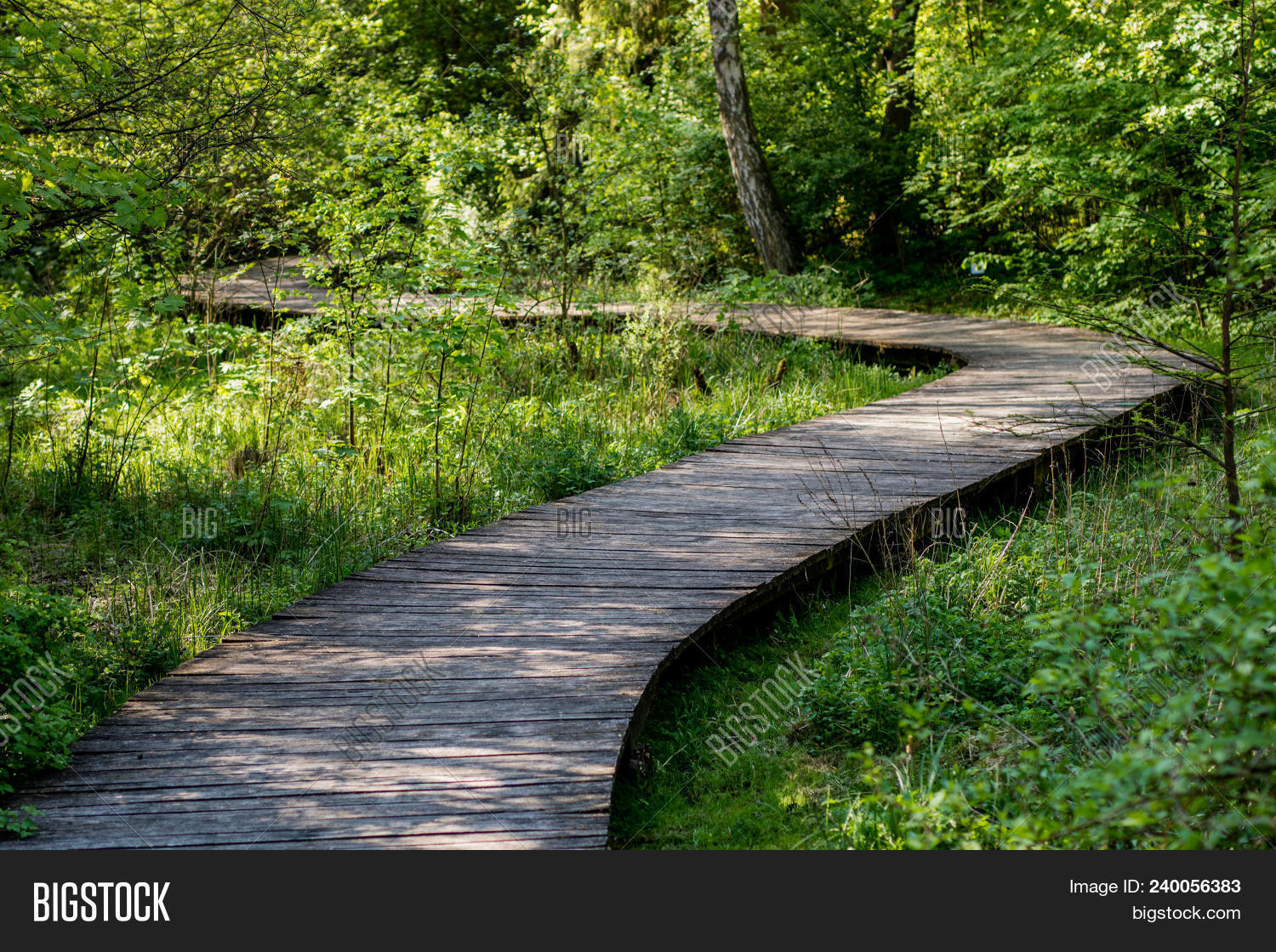 Winding Wooden Bridge Image & Photo (Free Trial) | Bigstock