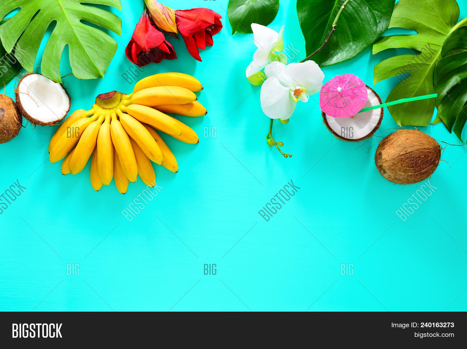 Summer Tropical Image & Photo (Free Trial) | Bigstock