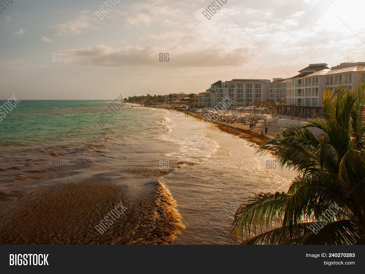 Playa Del Carmen, Image & Photo (Free Trial) | Bigstock