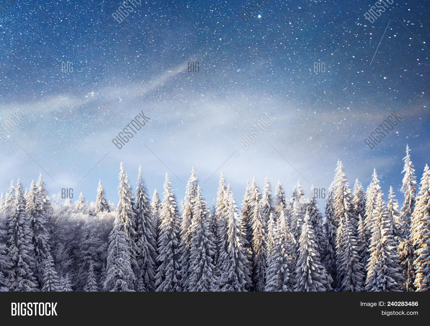 Magical Winter Snow Image & Photo (Free Trial) | Bigstock