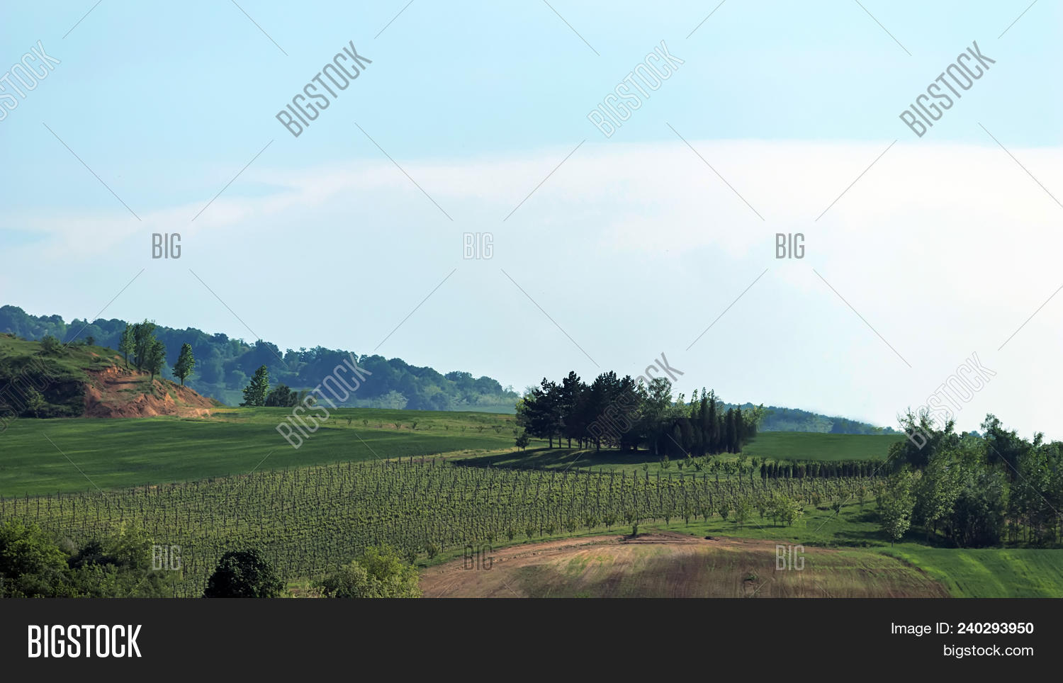 Tuscany Hills. Spring Image & Photo (Free Trial) | Bigstock